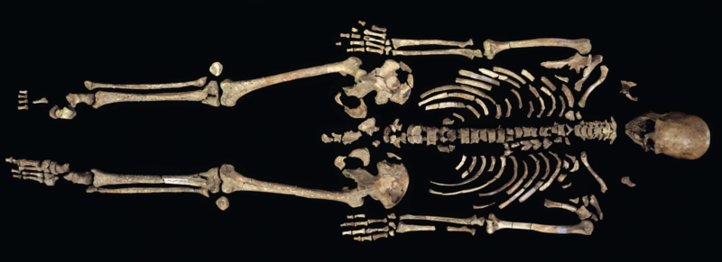Response to Anti-Mormon Attack on Haplogroup X and Kennewick Man – Book ...