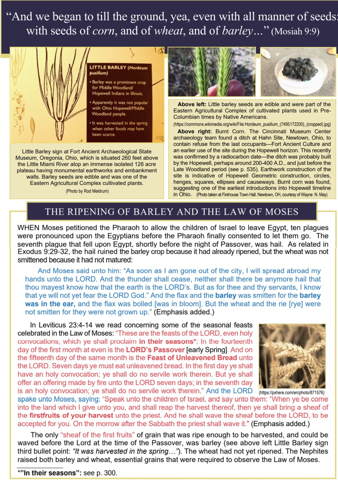 Law of Moses- Not in Mesoamerica! – Book of Mormon Evidence