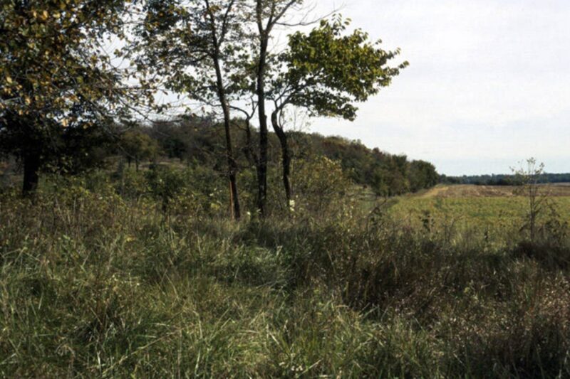 Old Nephitish Altar in Missouri – Book of Mormon Evidence